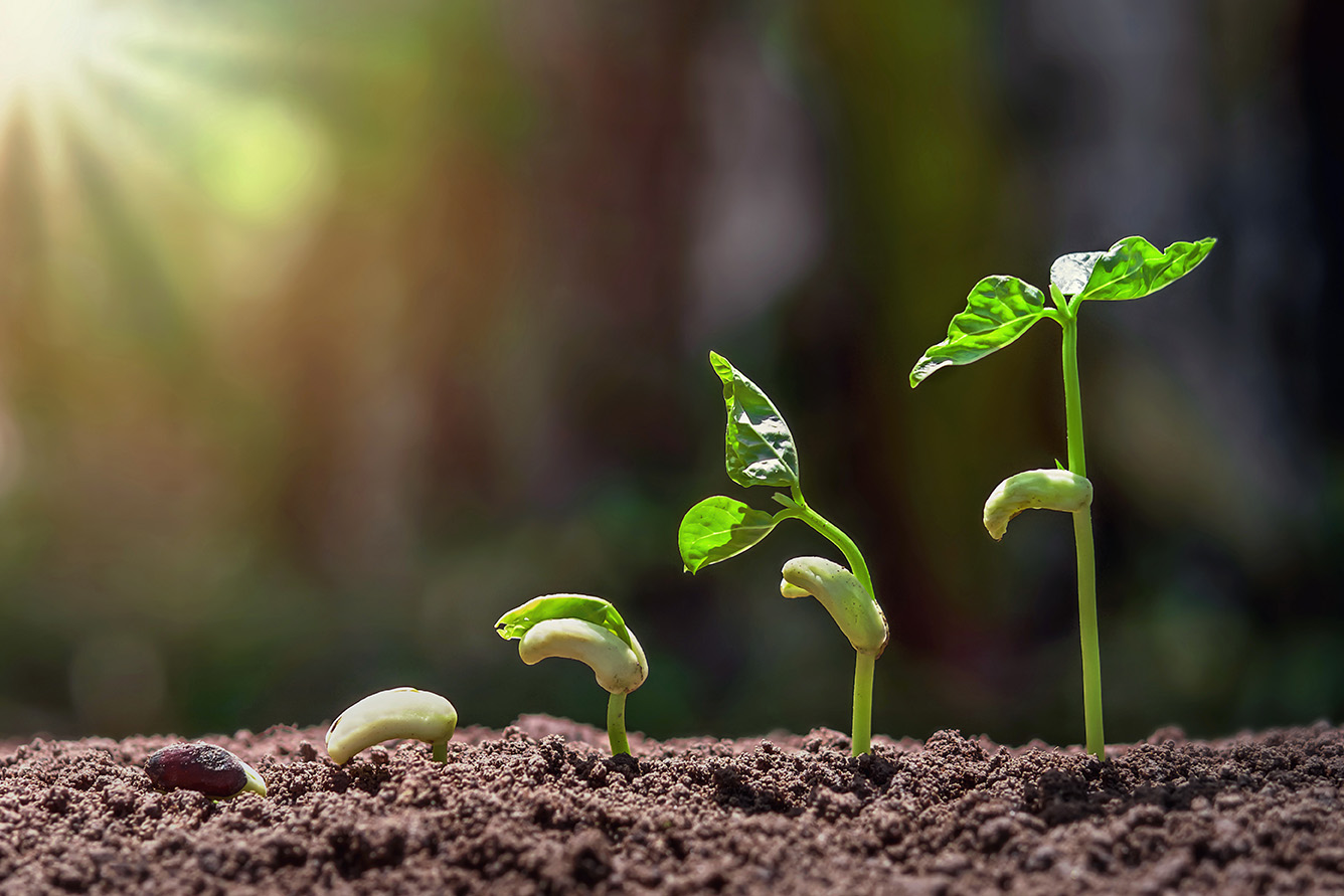 Why join Diagma ? | DIAGMA