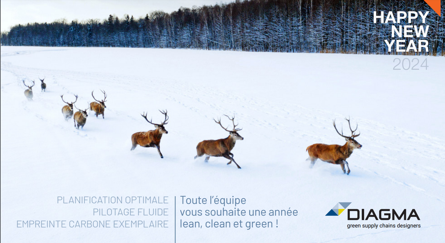 NL09 - VERS UNE SUPPLY CHAIN PLUS DURABLE - Diagma